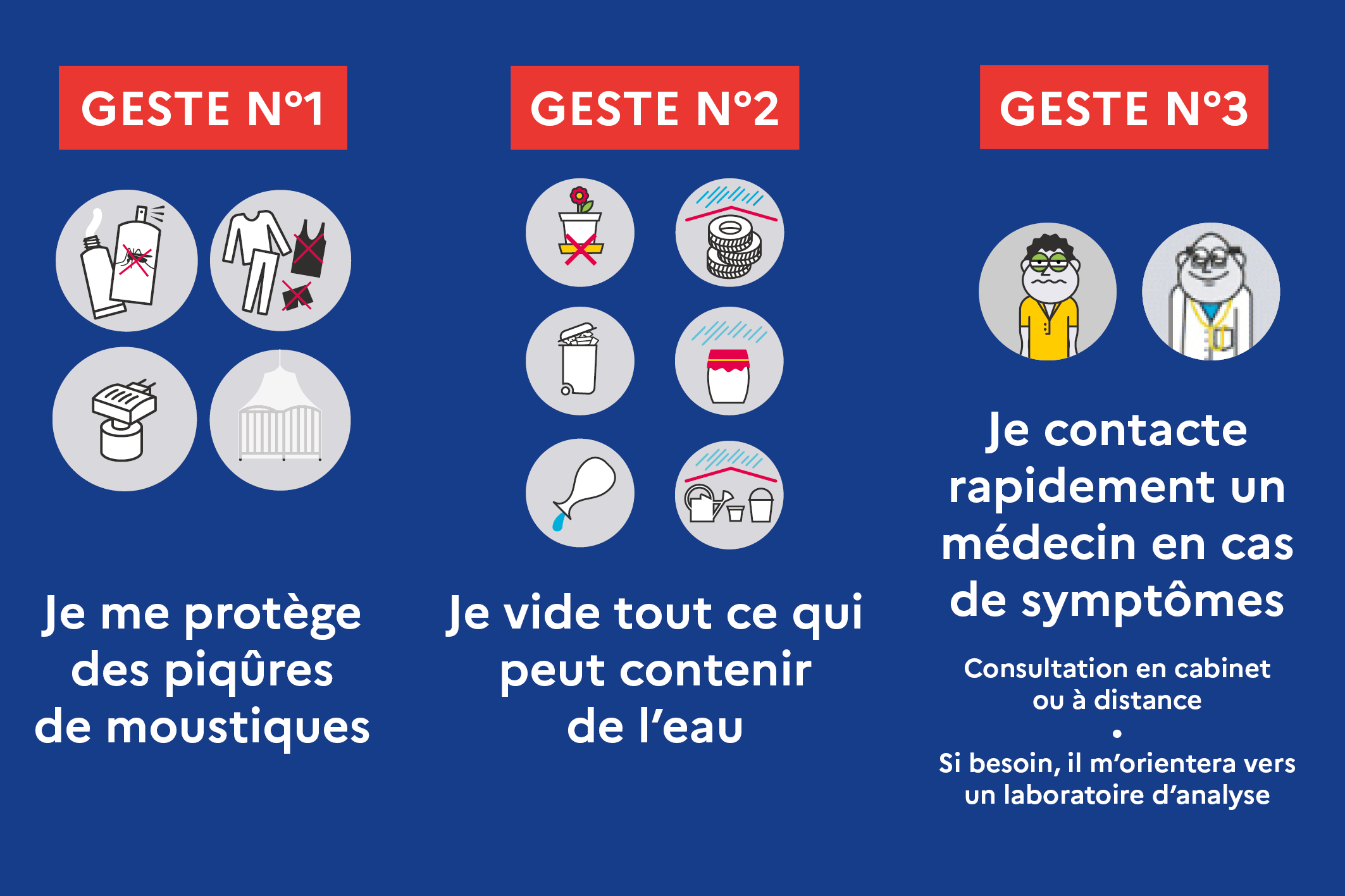 Dengue à La Réunion : l’épidémie poursuit sa progression | Agence ...